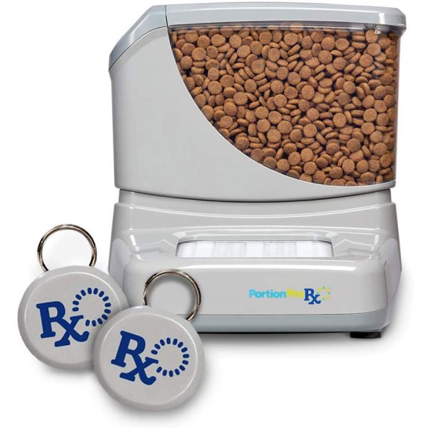 Best Automatic Dog Feeder Reviews & Buying Guide (Jun. 2026) • Outlinist
